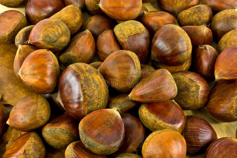 A Closeup of Edible Sweet Chestnuts Stock Image - Image of nuts ...