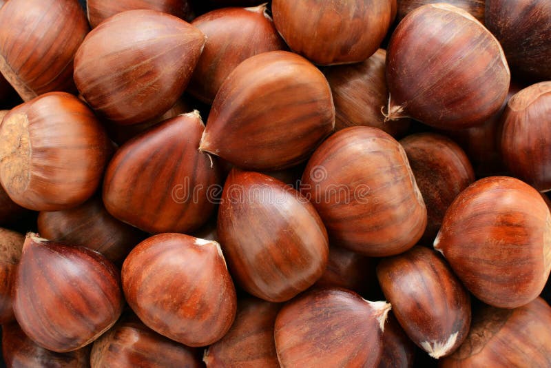 Sweet chestnuts background stock image. Image of close - 47217187