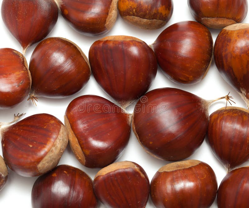 Sweet Chestnuts Isolated on White Stock Photo - Image of shiny ...