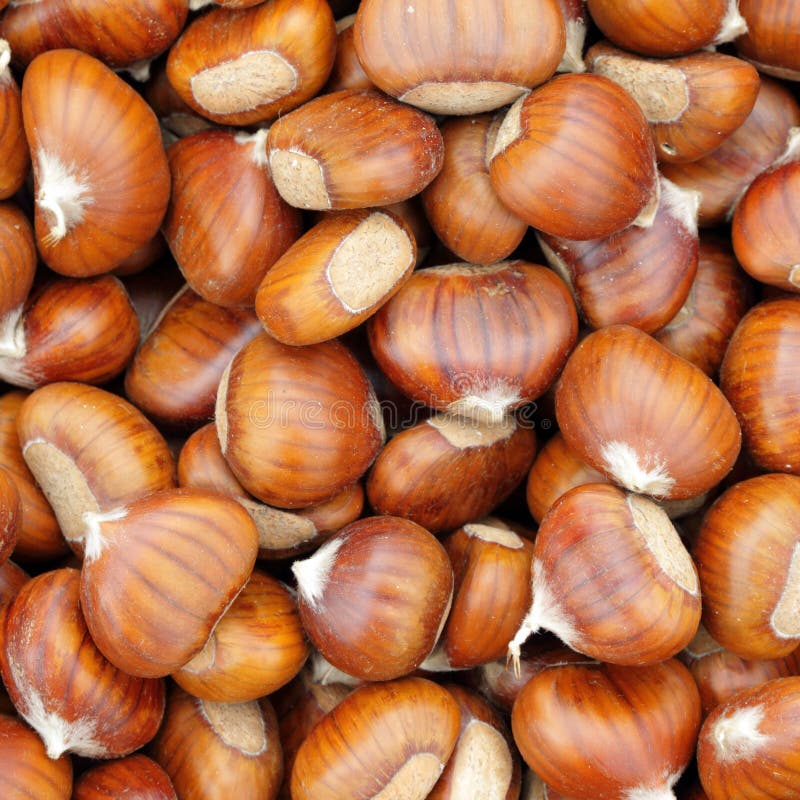 Chestnuts stock image. Image of black, food, close, delicious - 11281317