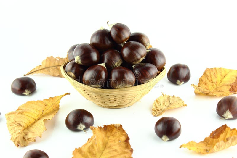 Sweet Chestnuts and Flames, Background Stock Image - Image of brown ...