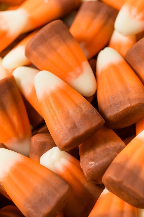 Sweet Chocolate Candy Corn stock photo. Image of dessert - 341650398