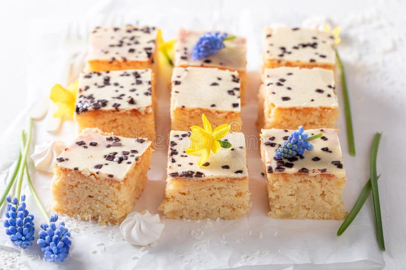 Sweet Coconut Cake with Dark Chocolate Sprinkles Stock Image - Image of ...