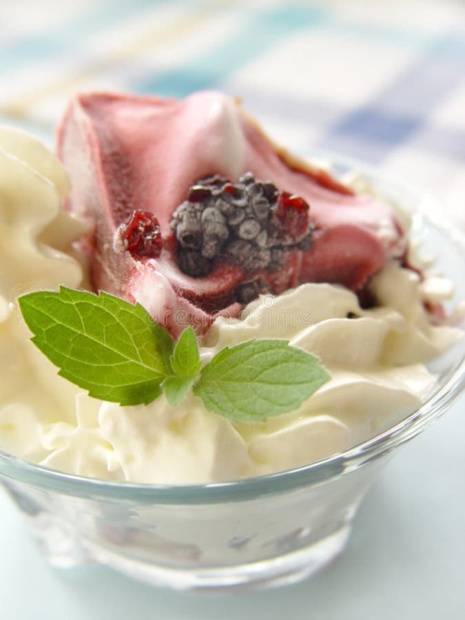 Sweet & cold stock photo. Image of fruits, berry, calorie - 883042