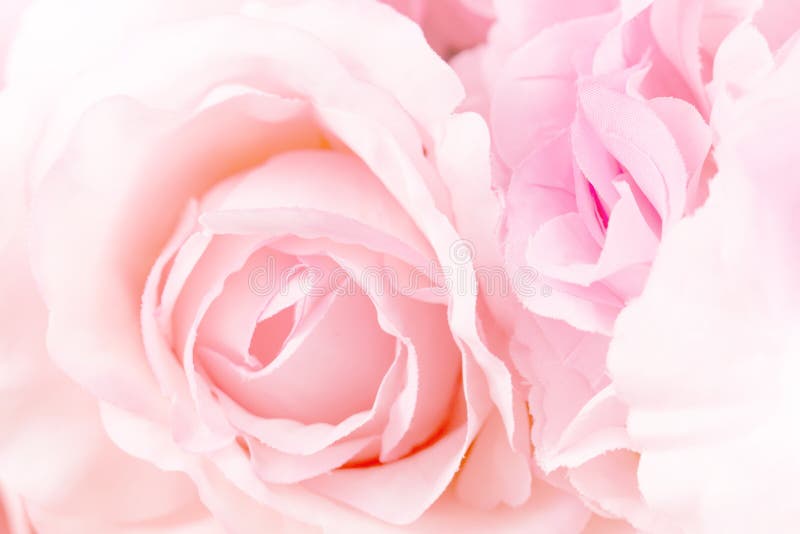 Sweet Color Fabric Roses in Soft Style for Background Stock Photo ...