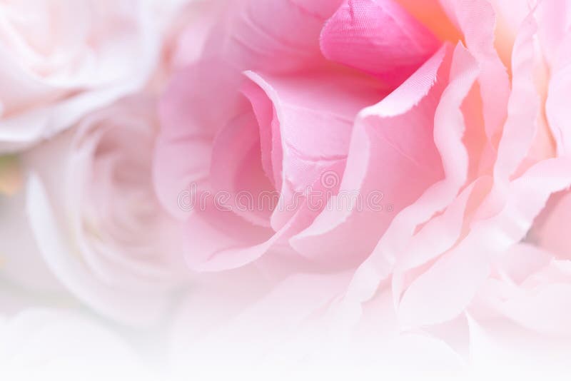 Sweet Color Roses Made with Gradient in Soft Style for Abstract ...