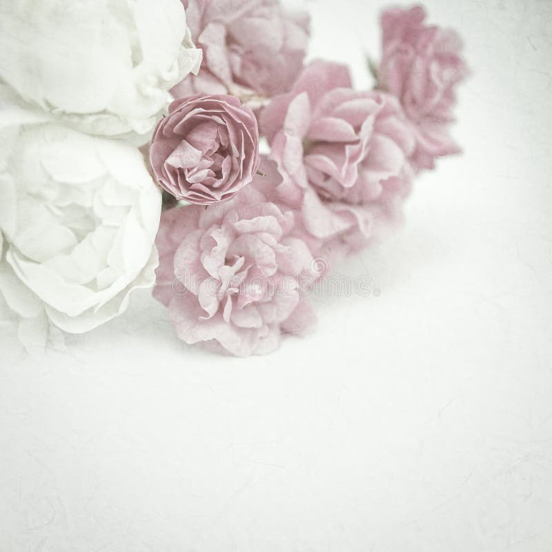 Sweet Color Roses on Mulberry Paper Texture Stock Photo - Image of ...