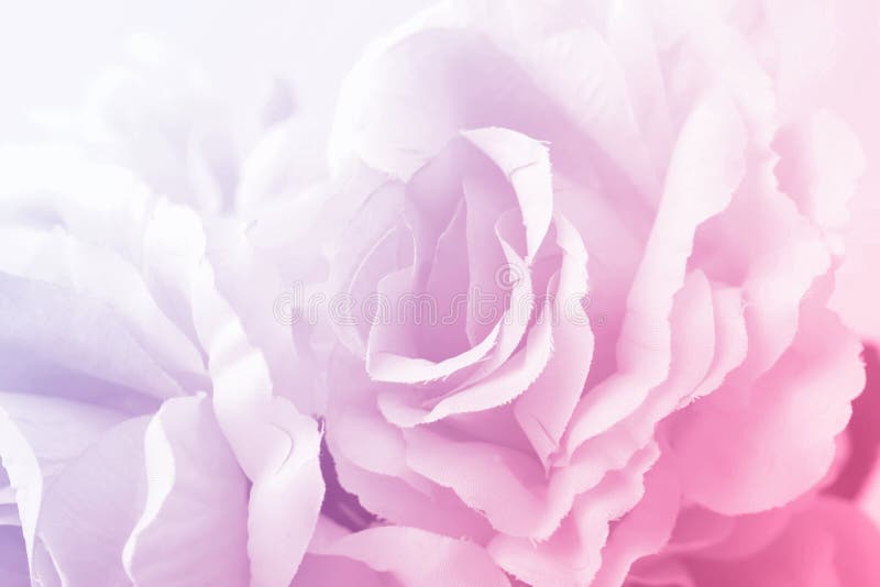 Sweet Color Fabric Roses in Soft Style for Background Stock Image ...