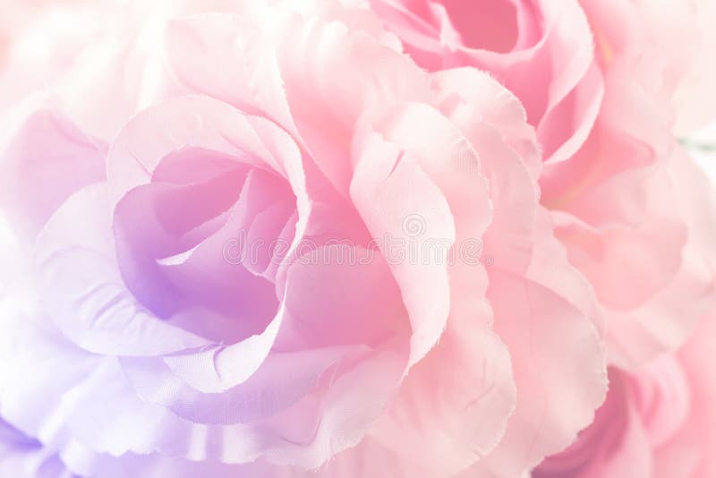 Sweet Color Fabric Roses in Soft Style for Background Stock Image ...