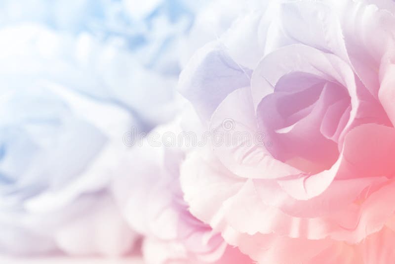 Sweet Color Fabric Roses in Soft Style for Background Stock Image ...