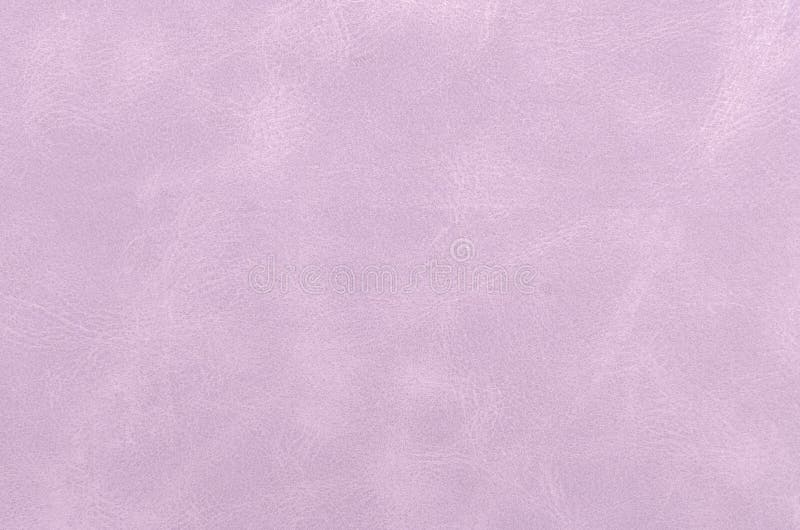 Sweet Color Tulips in Soft Style Background Stock Image - Image of ...