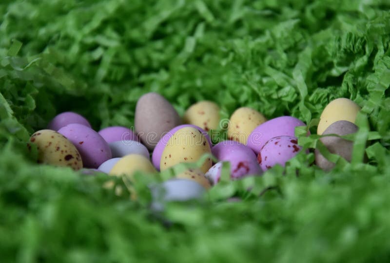 Sweet Colourful Candy Eggs in Green Grass Nest. Stock Image - Image of ...