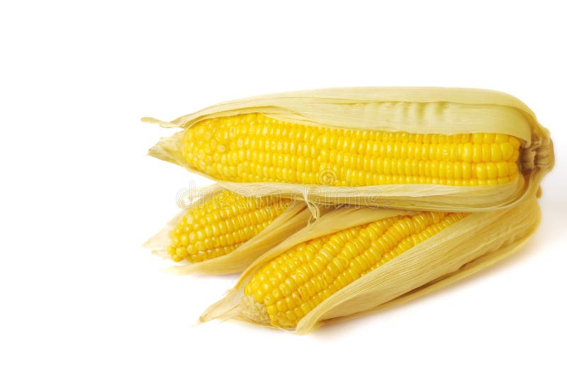 Sweet Corn stock image. Image of yellow, fruit, kernel - 18800629
