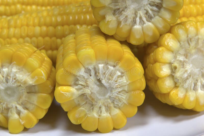 Sweet corn stock image. Image of vitamin, cooking, seed - 27908185