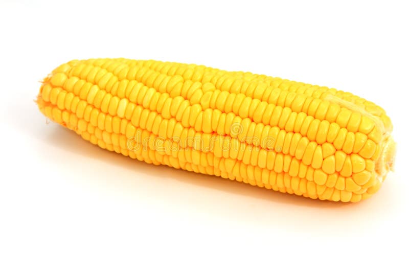 Sweet Corn stock photo. Image of objects, healthy, plant - 44283834