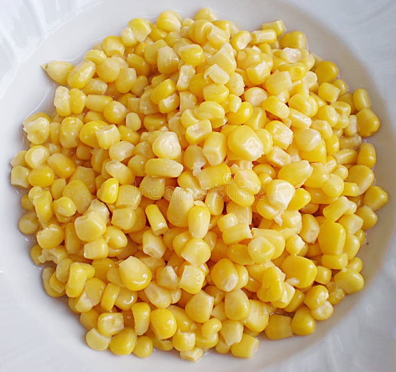 Sweet corn stock image. Image of background, color, green - 5379629