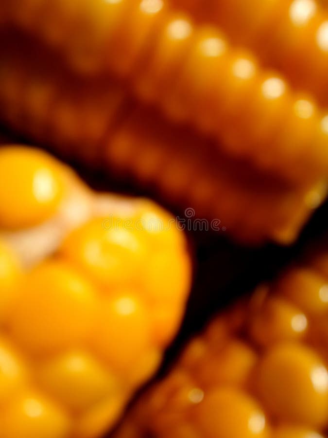Sweet Corn Abstract for Background Stock Photo - Image of background ...