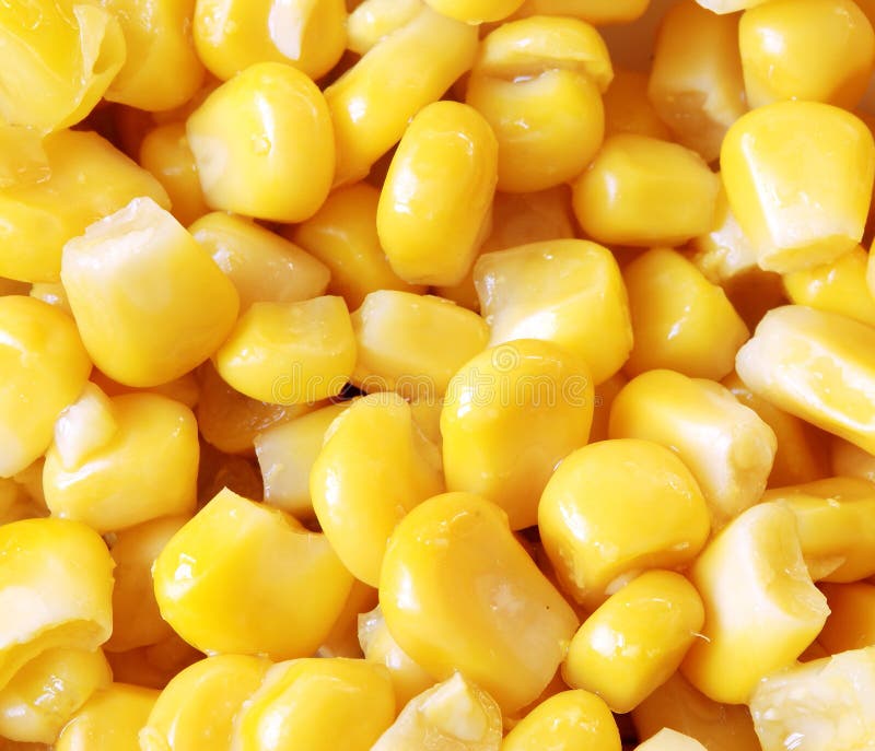 Corn kernals stock image. Image of texture, nutrition - 15941249