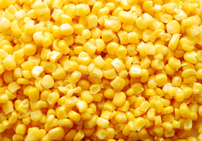 Sweet corn background stock image. Image of corn, farm - 8304603