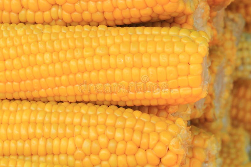 Sweet corn background stock photo. Image of tasty, texture - 58809930
