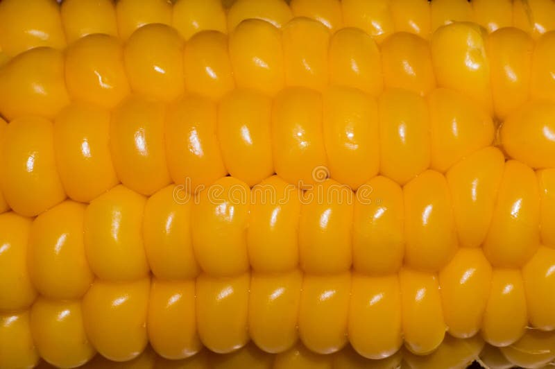 Sweet corn background. stock photo. Image of grain, macro - 106769398
