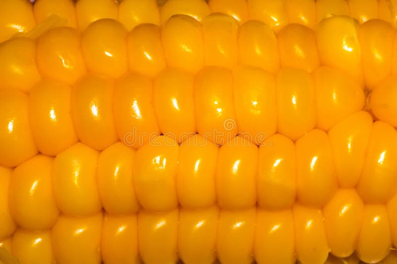 Sweet corn background. stock photo. Image of background - 115069828