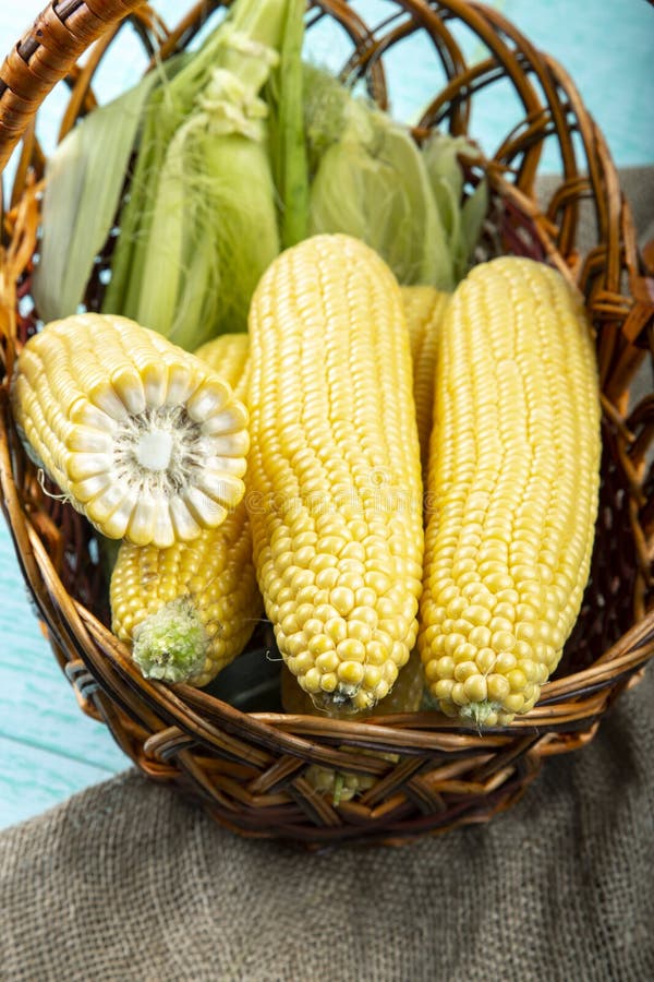Sweet corn in the basket stock image. Image of farm - 148706081