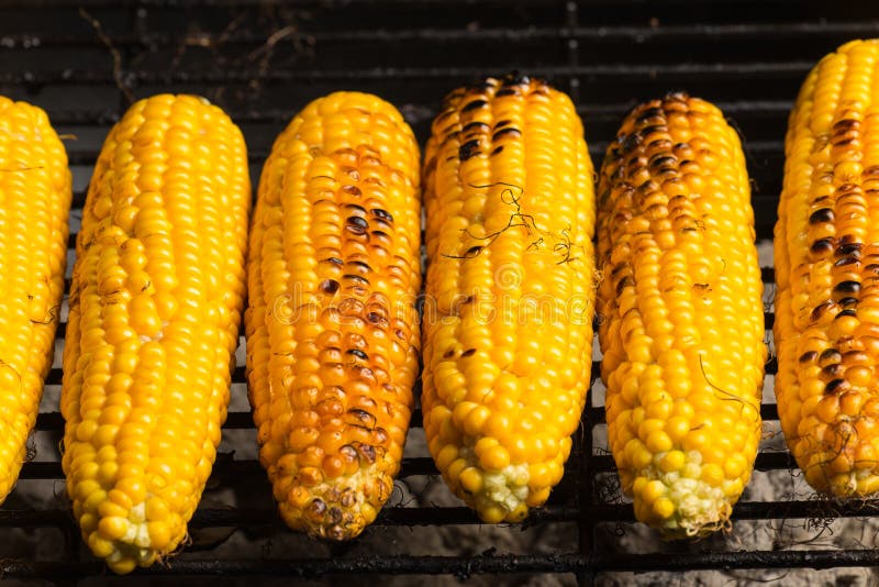 Sweet Corn on BBQ stock image. Image of natural, cooking - 99173395
