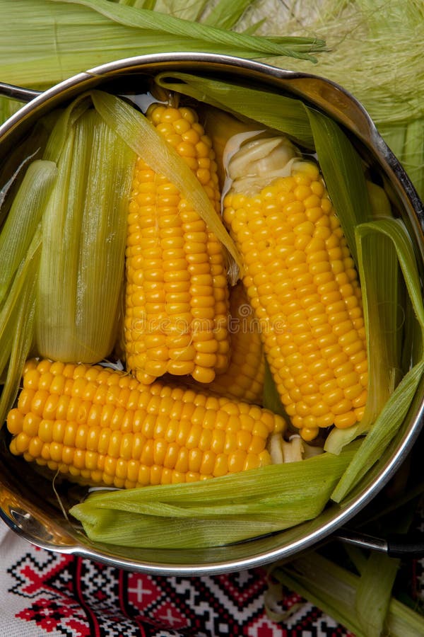 Sweet Corn Boil with Salt. Cooked Sweet Corn in Pot on Wooden Table ...