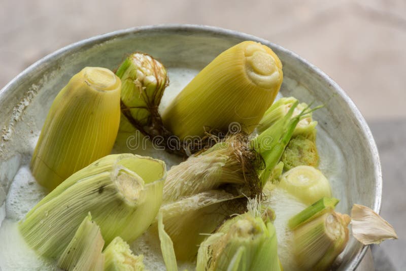 Sweet Corn Boil with Salt. Cooked Sweet Corn in Pot Stock Photo - Image ...