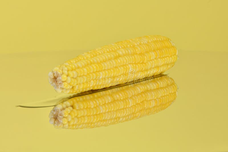Sweet Corn, Boiled Corn on Mirror Background Stock Photo - Image of ...