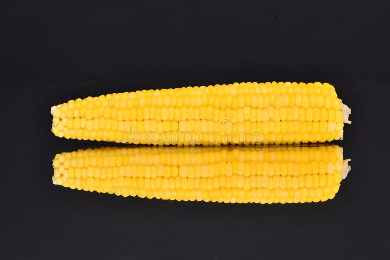 Sweet Corn, Boiled Corn on Mirror Background Stock Image - Image of ...