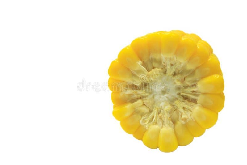 Sweet corn boiled stock image. Image of cooked, closeup - 47302895