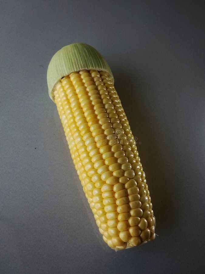 Sweet Corn is Characterized by Wrinkled, Thin Seeds and Yellow ...