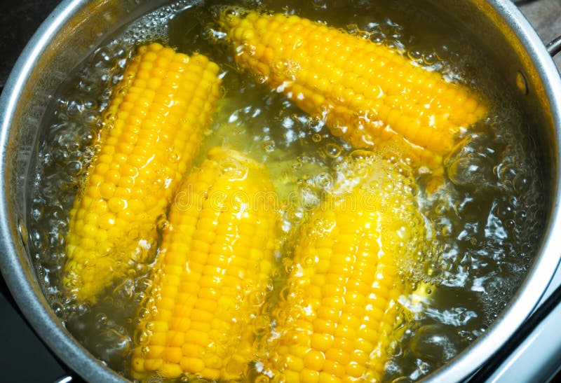 Sweet Corn Cobs Boiling in Hot Water in the Pot Stock Photo - Image of ...