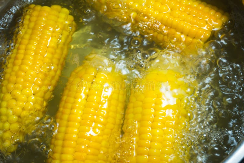 Sweet Corn Cobs Boiling in Hot Water in the Pot Stock Image - Image of ...