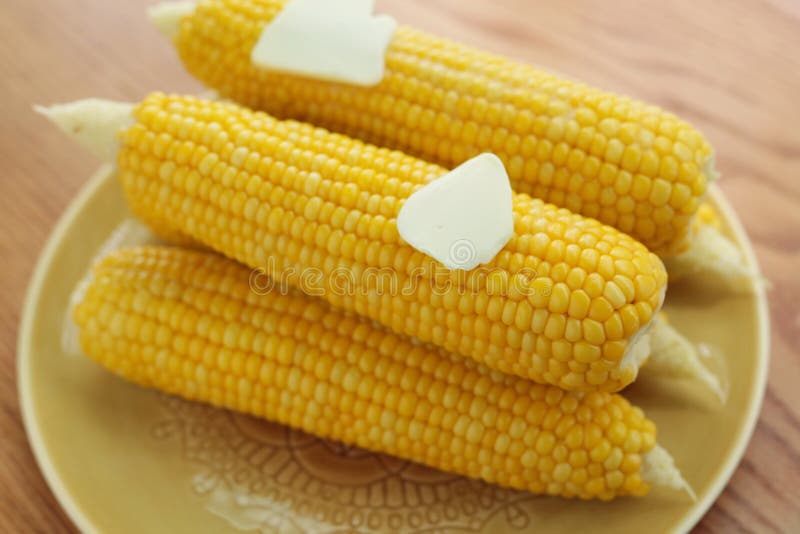 Sweet corn stock photo. Image of organic, ripe, starch - 32341890