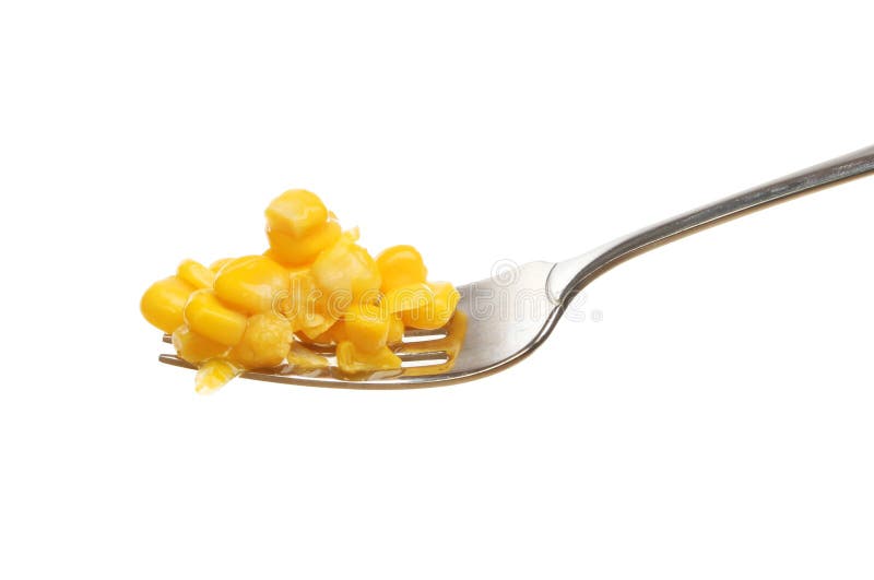 Sweet corn on fork stock photo. Image of vegetable, sweet - 63780184