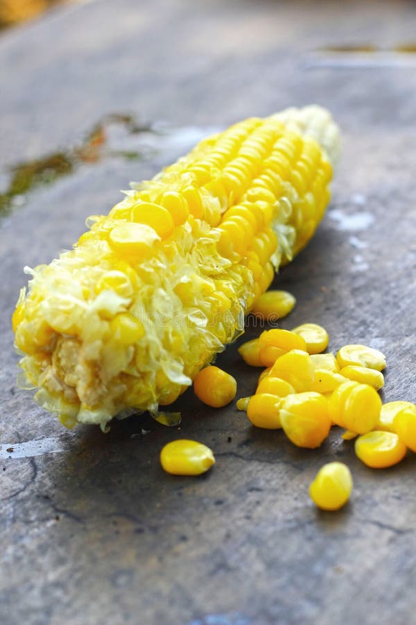 Sweet corn. stock image. Image of green, tasty, vegetarian - 33521063