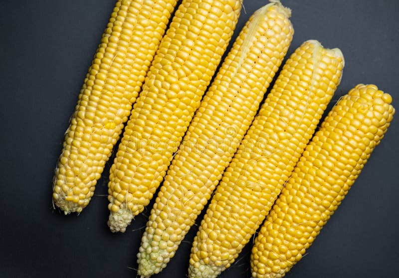 Sweet corn heads stock image. Image of grain, golden - 328280759