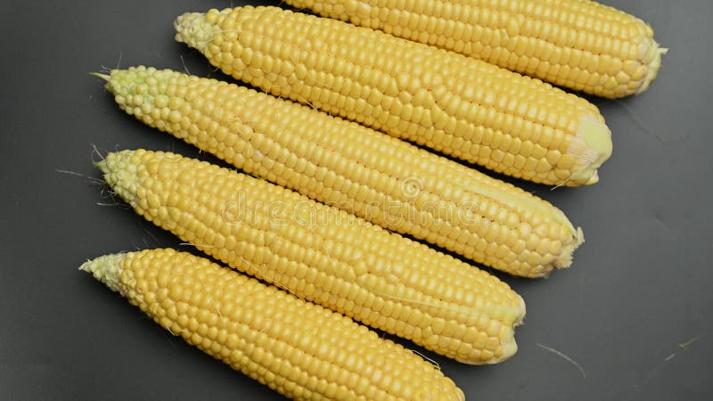 Sweet corn heads stock video. Video of grain, mays, meal - 326208719