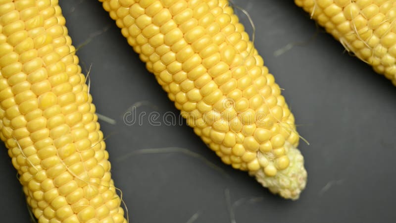 Sweet corn heads stock footage. Video of corn, steamed - 326208680