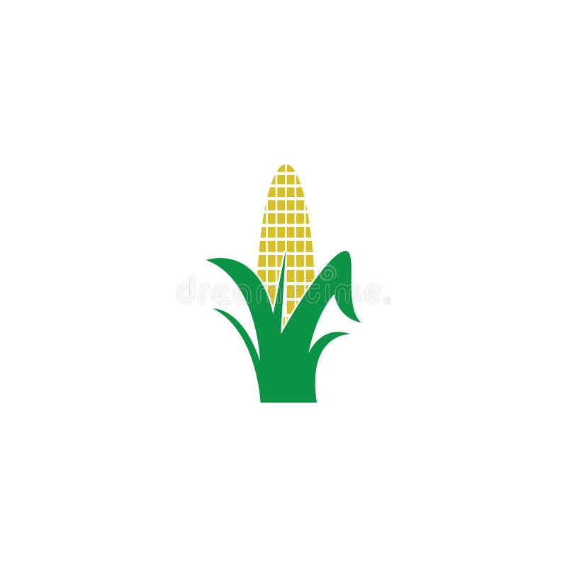 Sweet Corn Icon Logo Design Stock Illustration - Illustration of green ...