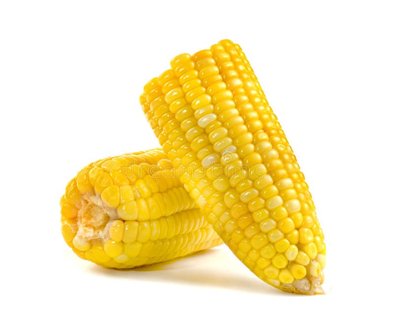 Sweet Corn Isolated on White Background Stock Image - Image of meal ...
