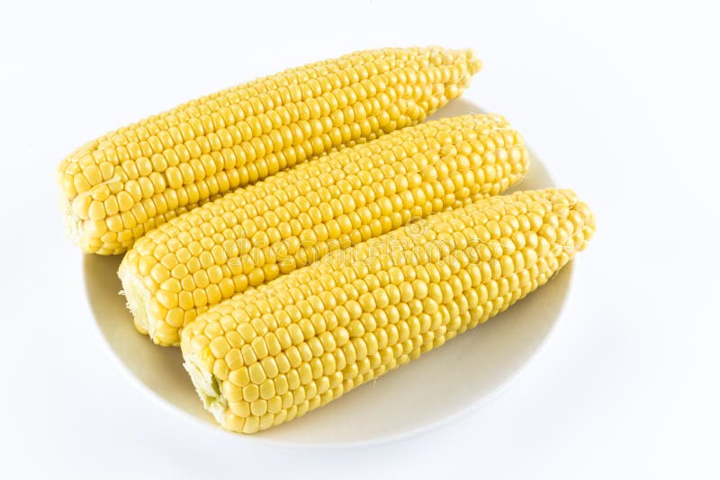 Sweet Corn Isolated on White Background Stock Image - Image of ...