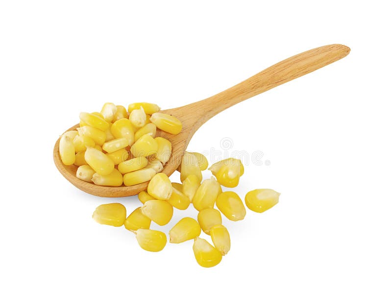 Sweet Corn an Isolated on a White Background Stock Image - Image of ...