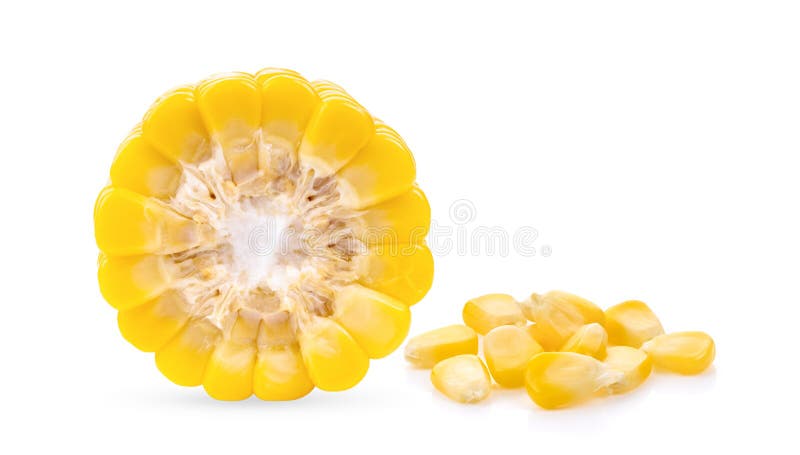 Sweet Corn on White Background Stock Image - Image of leaf, food: 224680247