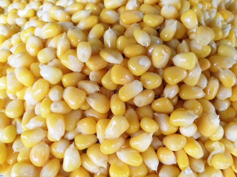 Sweet corn kernels stock photo. Image of plant, sweetcorn - 122518420