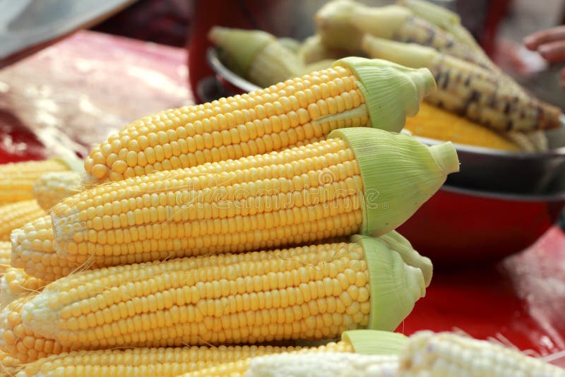 Sweet corn in the market stock photo. Image of farm, grain - 38463806