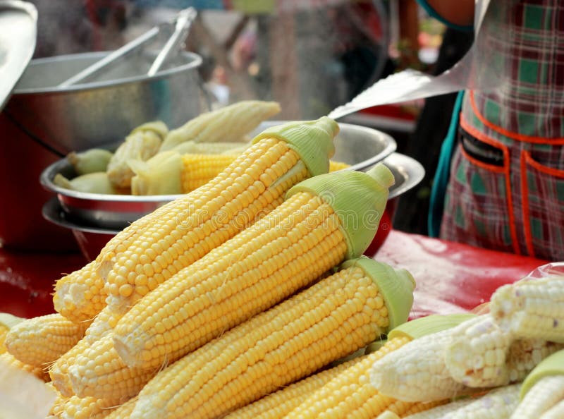 Sweet corn in the market stock image. Image of rustic - 38661157